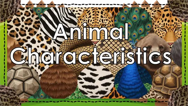 CLASE 31 - ANIMALS CHARACTERISTICS | profe.social