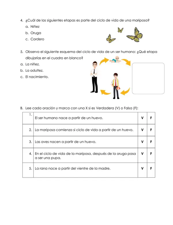 Evaluación el Ciclo de Vida | profe.social