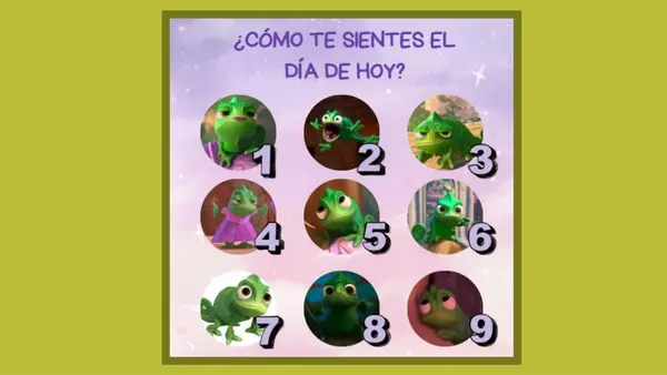 Hecho y opinión | profe.social