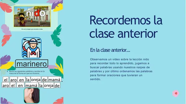 Lección pino - clase 1 | profe.social