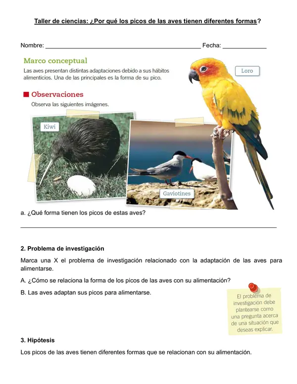 Guía experimental "¿Por qué el pico de las aves tiene diferentes formas ...
