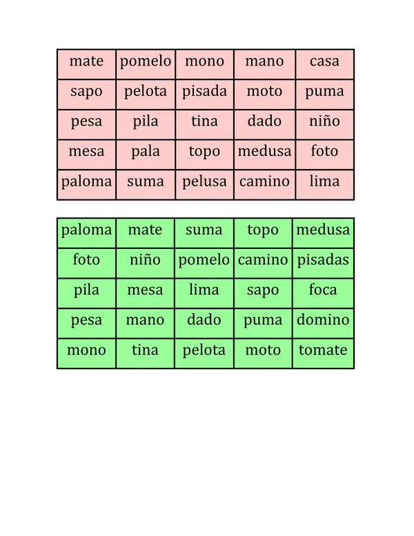 BINGO DE PALABRAS | profe.social
