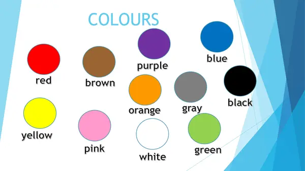 COLOURS AND NUMBERS | profe.social