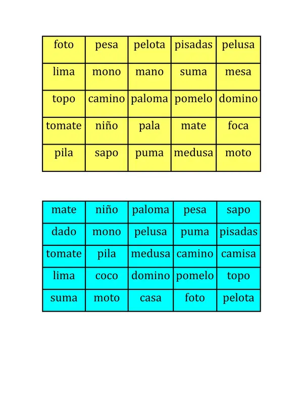 BINGO DE PALABRAS | profe.social