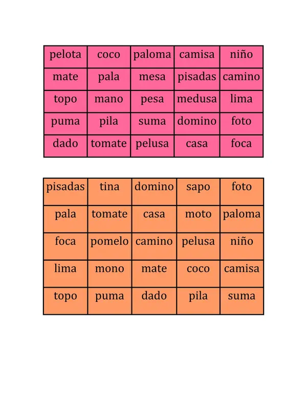 BINGO DE PALABRAS | profe.social