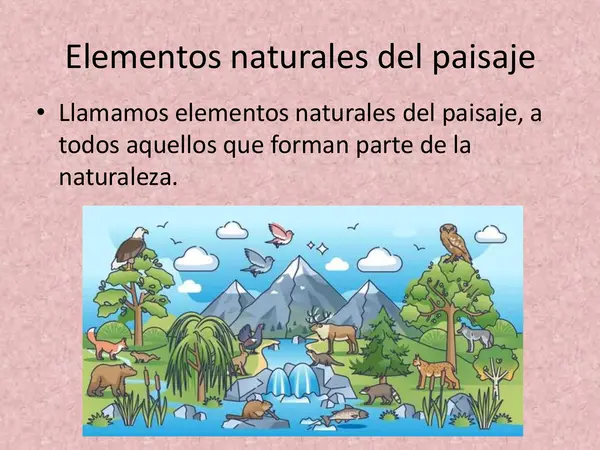 Elementos naturales del paisaje 1° básico | profe.social