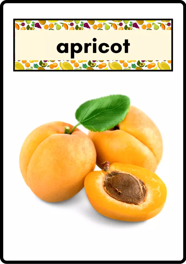 Flash Cards vocabulario de las Frutas en inglés Apricot | profe.social