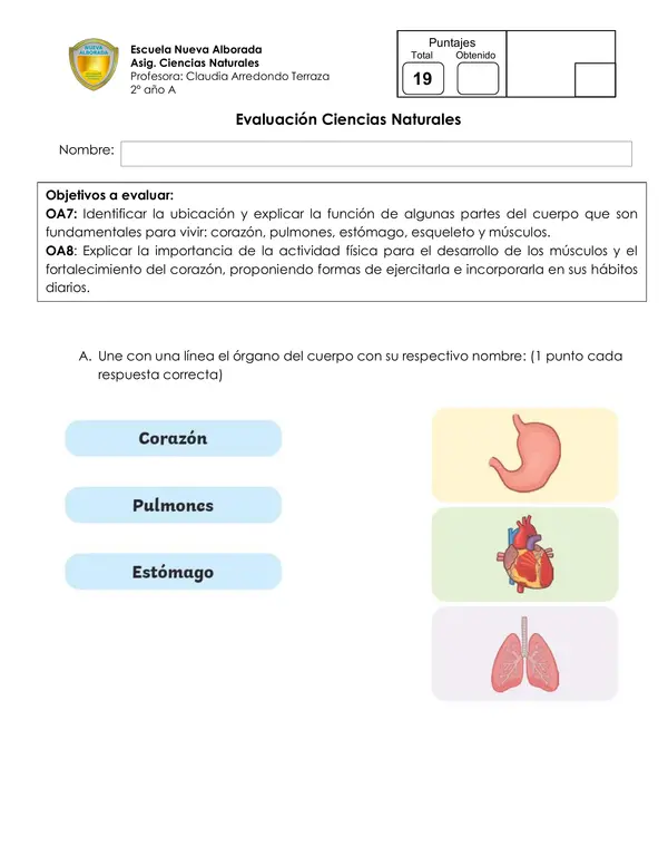 Evaluación El cuerpo Humano | profe.social