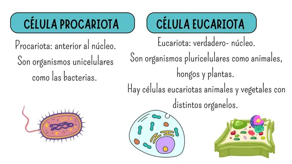 PPT LA CÉLULA | profe.social