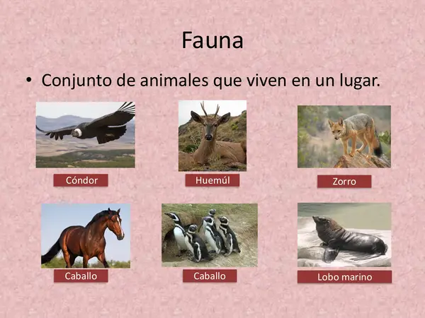 Elementos naturales del paisaje 1° básico | profe.social