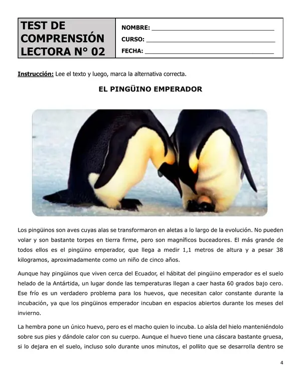 10 Test De Comprensión Lectora Tipo Simce Parte 2 Profe Social