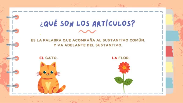 Artículos definidos e indefinidos (concordancia y género) | profe.social