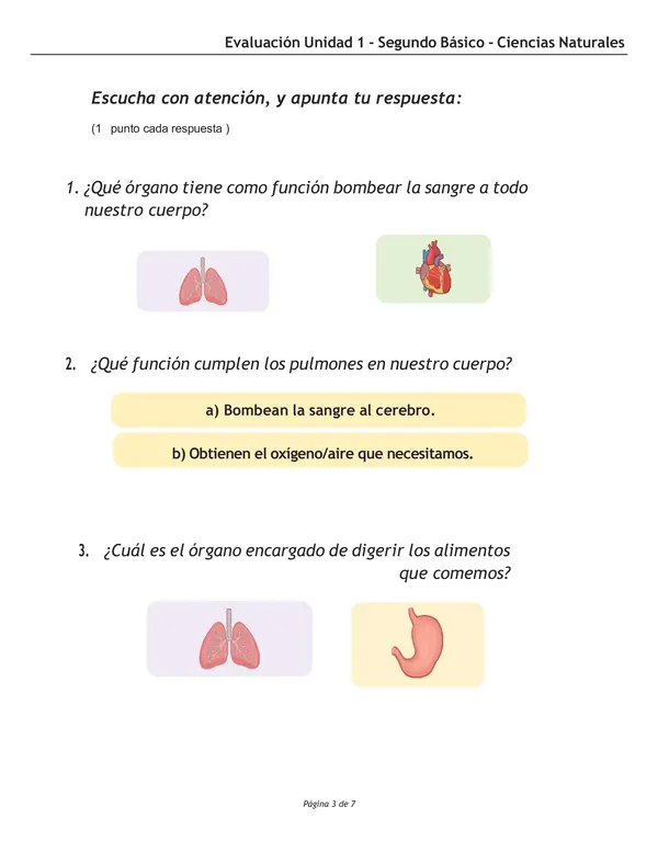 cuerpo humano y salud | profe.social