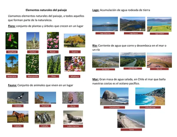 Guía "Elementos naturales del paisaje" | profe.social